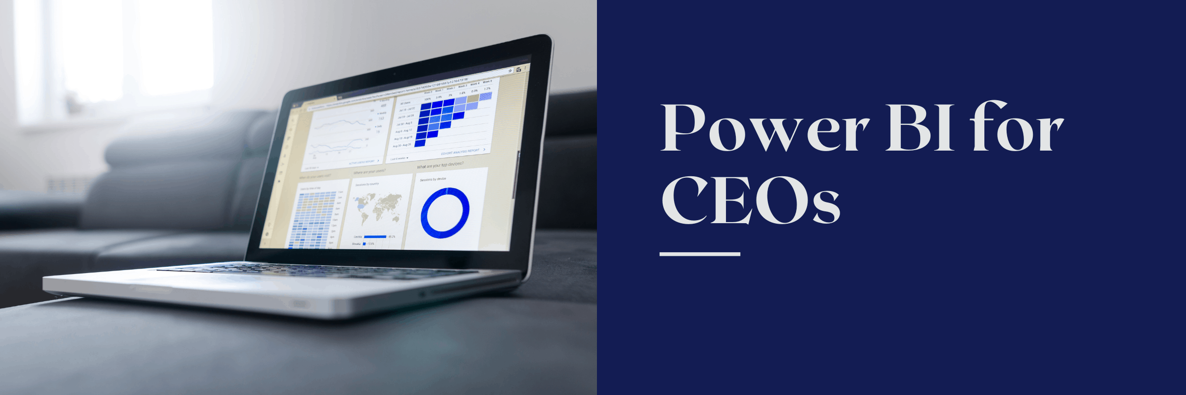 Power BI for CEOs - ScaleupAlly