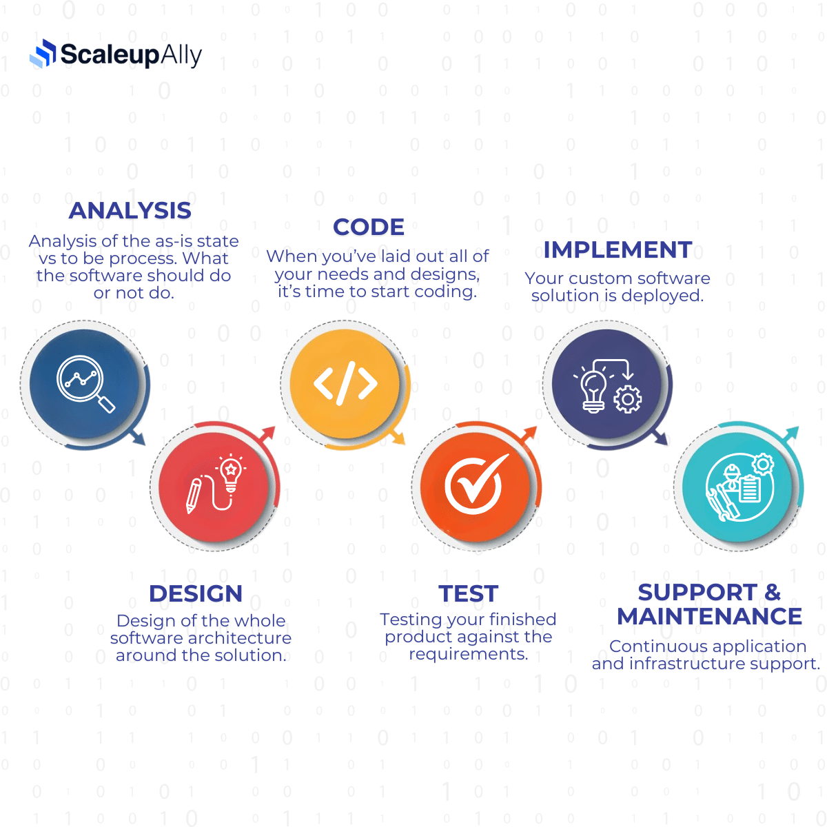 How Niche Leaders Use Custom Software for Superior Performance?