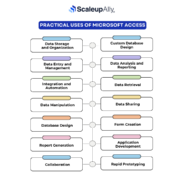 What is Microsoft Access Used For?